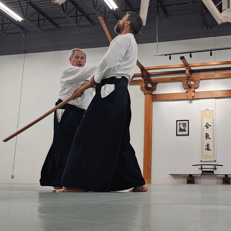 Aikido Workshop - Japan America Society of Greater Cincinnati